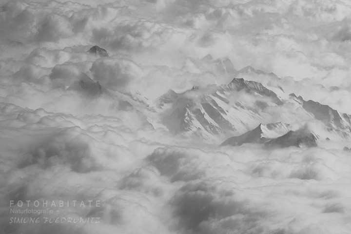 Unberührtes Grau – Untouched Grey – F O T O H A B I T A T E